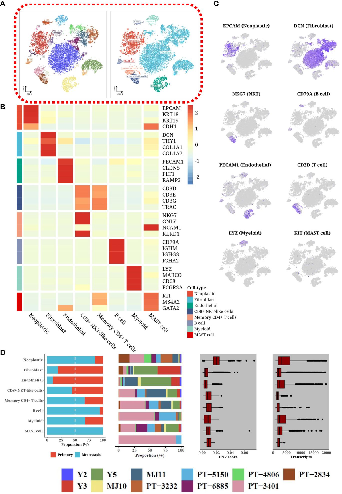 Frontiers | Integrating single-cell and spatial transcriptomic analysis ...