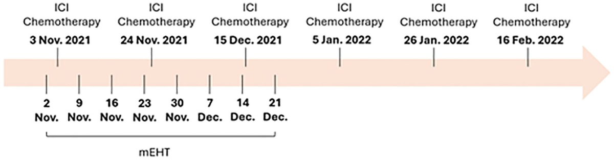 Frontiers | Case report: Combinations of immune checkpoint inhibitor ...