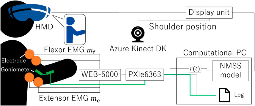 Frontiers | Physio-avatar EB: aftereffects in error learning with EMG ...