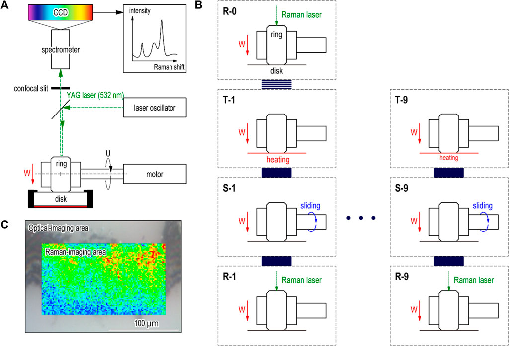 Frontiers | In-situ vibrational spectroscopic observation for thermally activated structural ...