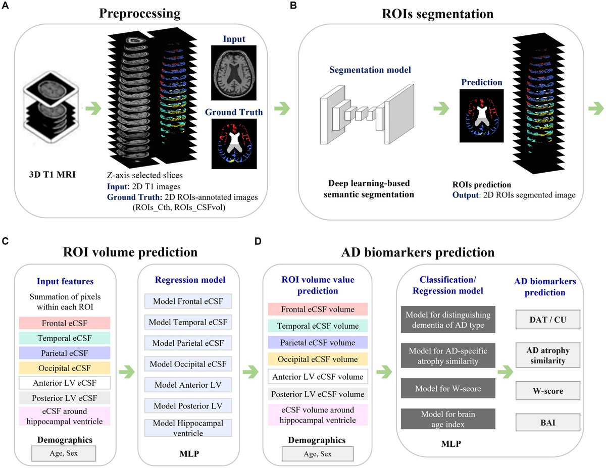 Frontiers | Deep learning-based quantification of brain atrophy using 2D T1-weighted MRI for ...