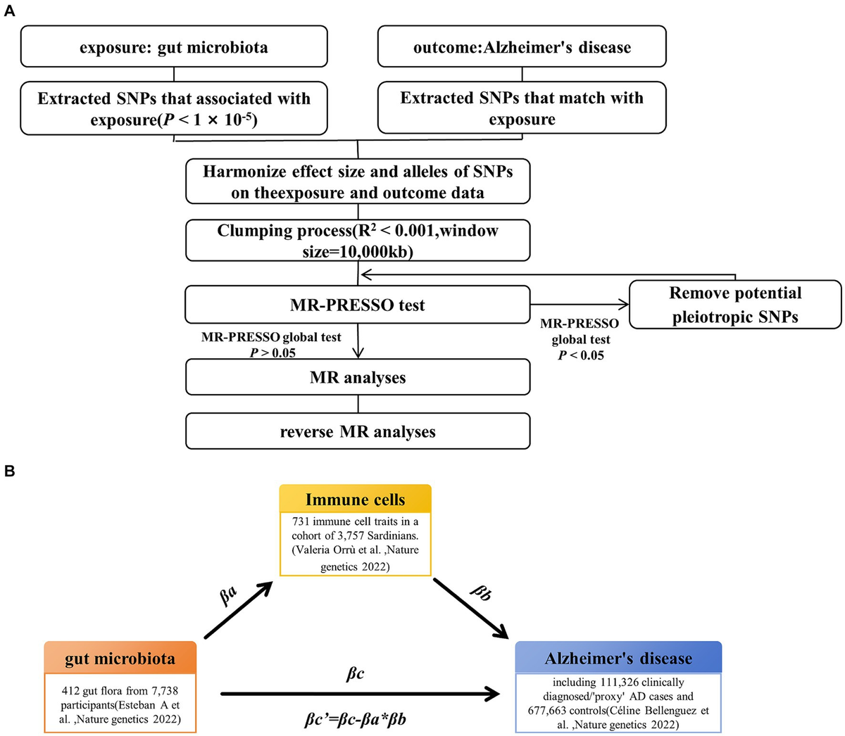 Frontiers | The involvement of effector memory CD4+ T cells in ...
