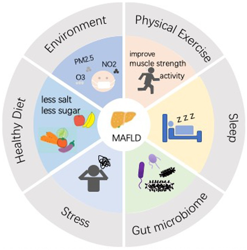 Frontiers | Diagnostic indicators and lifestyle interventions of ...