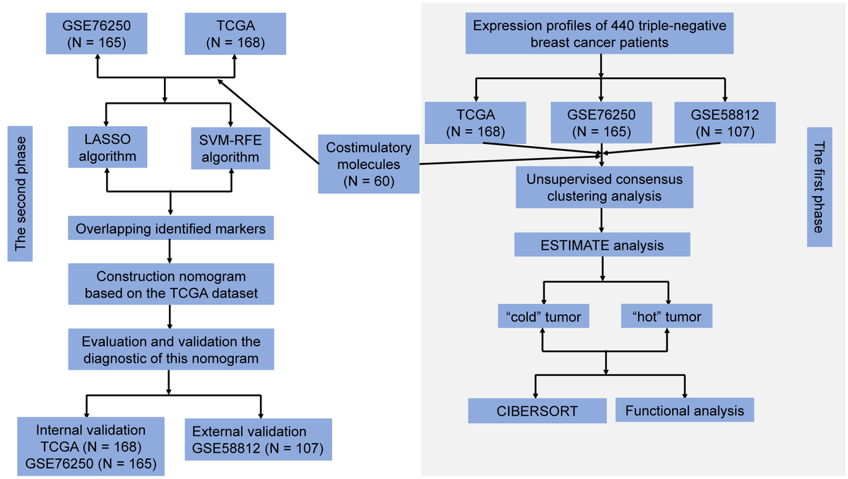 Frontiers | Integrating machine learning algorithms and multiple immunohistochemistry validation ...
