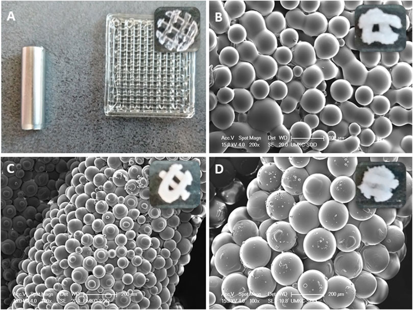 Frontiers | The induction of bone formation by 3D-printed PLGA ...