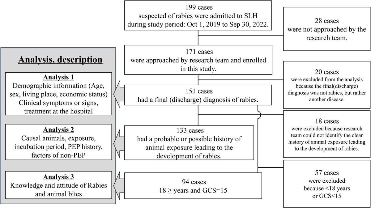 Frontiers | Puppies as the primary causal animal for human rabies cases ...