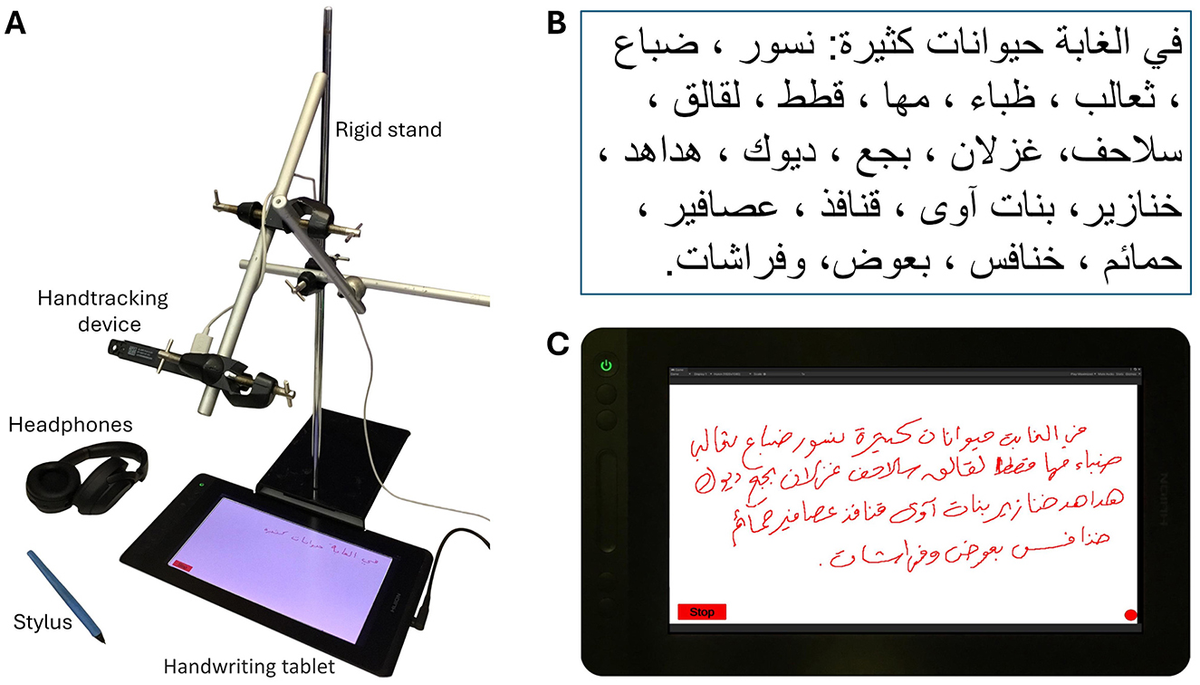Frontiers | Analyzing handwriting legibility through hand kinematics