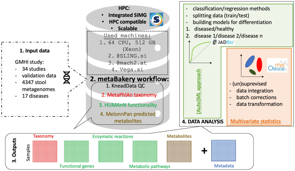 Frontiers | MetaBakery: a Singularity implementation of bioBakery tools as a skeleton ...