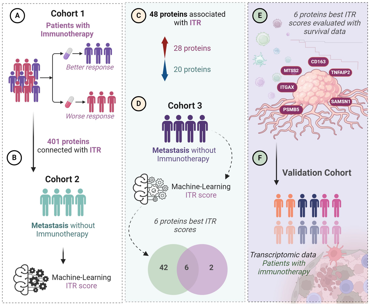 Frontiers | Predicting immune checkpoint therapy response in three ...
