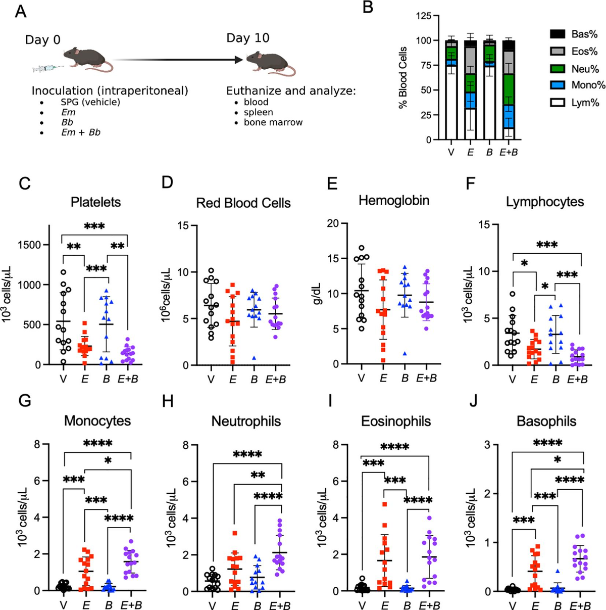 Frontiers | Impact of E. muris infection on B. burgdorferi–induced ...