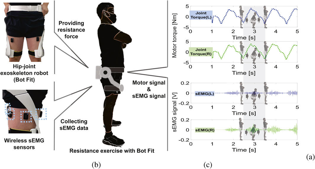 Frontiers | Multivariable analysis for predicting lower limb muscular ...
