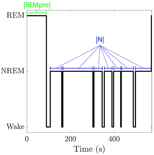Frontiers | A predictive propensity measure to enter REM sleep