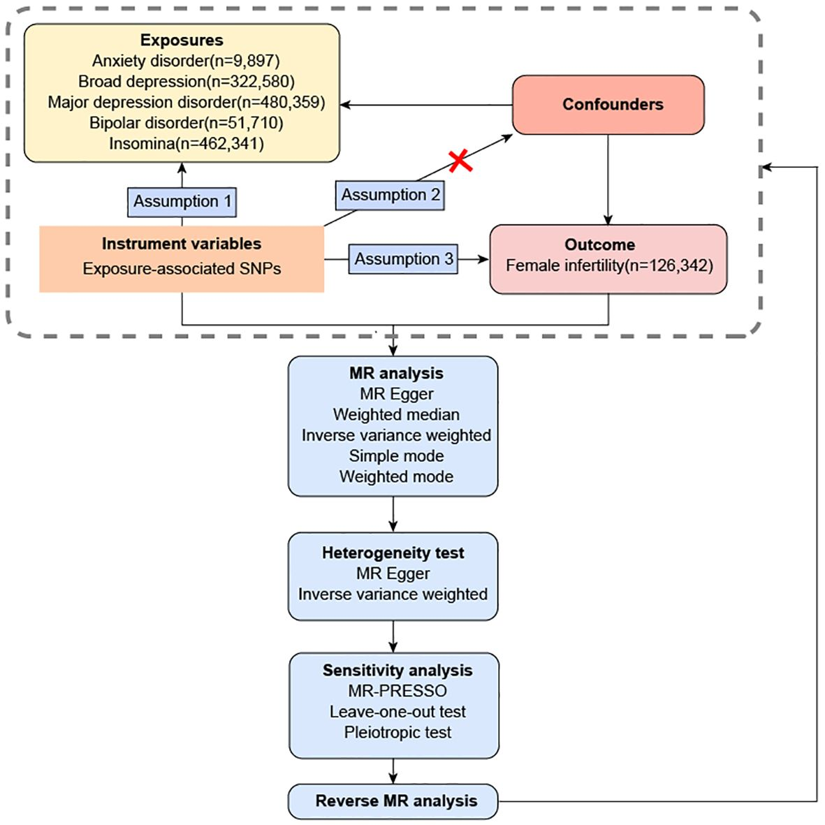 Frontiers | Common mental disorders and risk of female infertility: a two-sample Mendelian ...