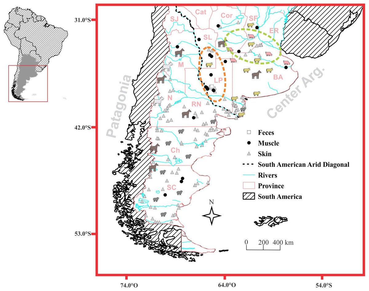 Frontiers | Genetic diversity and diversification patterns of puma ...