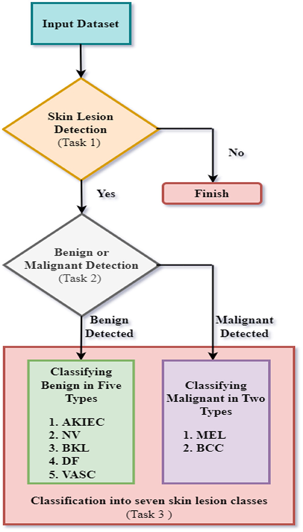 Frontiers | Enhanced skin cancer diagnosis through grid search algorithm-optimized deep learning ...