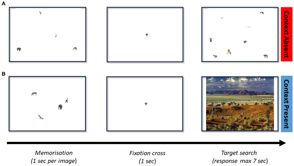 Frontiers | Investigating the effects of context, visual working memory, and inhibitory control ...