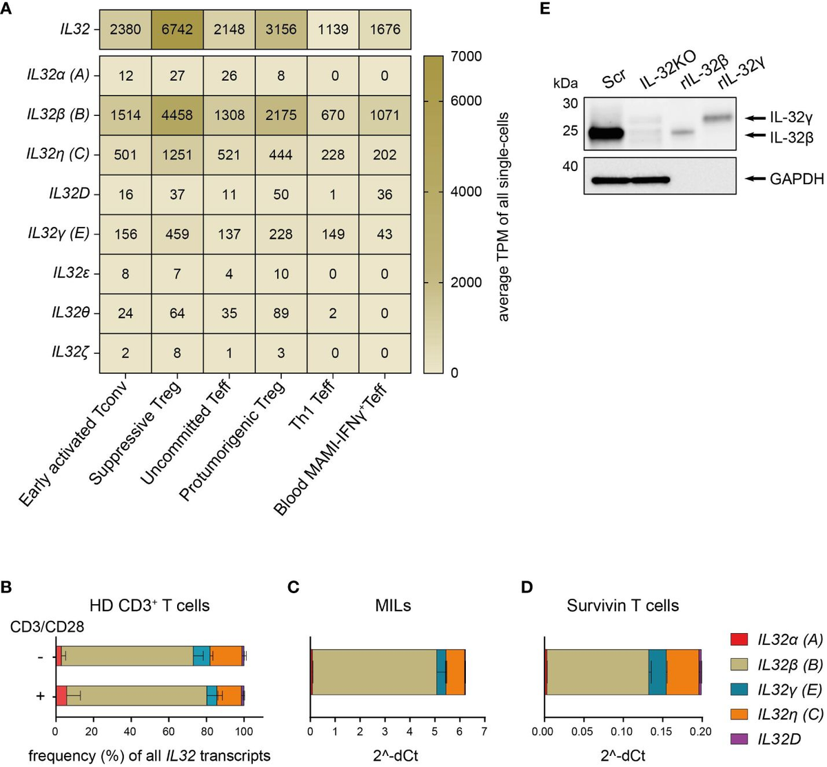 Frontiers | IL-2 and TCR stimulation induce expression and secretion of ...