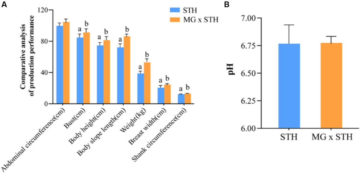 Frontiers | Functional analysis of microorganisms and metabolites in ...