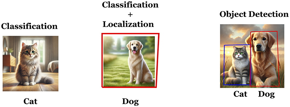 Frontiers | CNN based 2D object detection techniques: a review