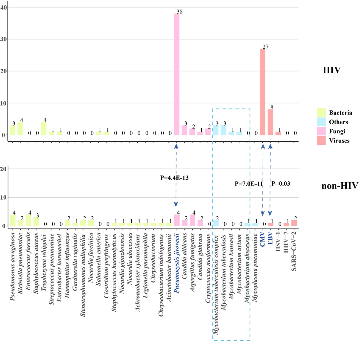 Frontiers | Metagenomic next-generation sequencing targeted and ...