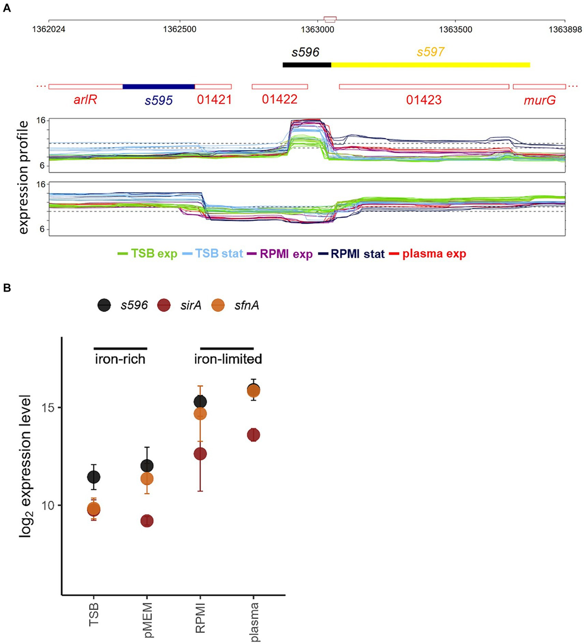 Frontiers | Exploring the targetome of IsrR, an iron-regulated sRNA ...
