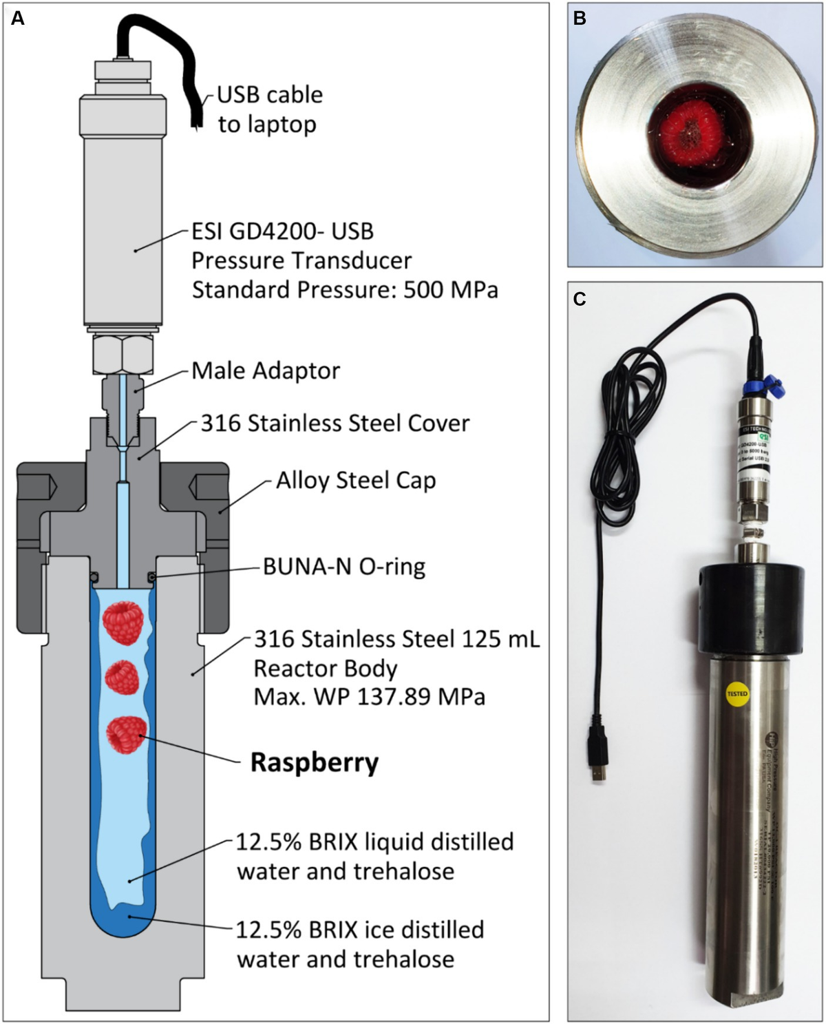 Frontiers | A comparison of raspberry freezing-damage during ...