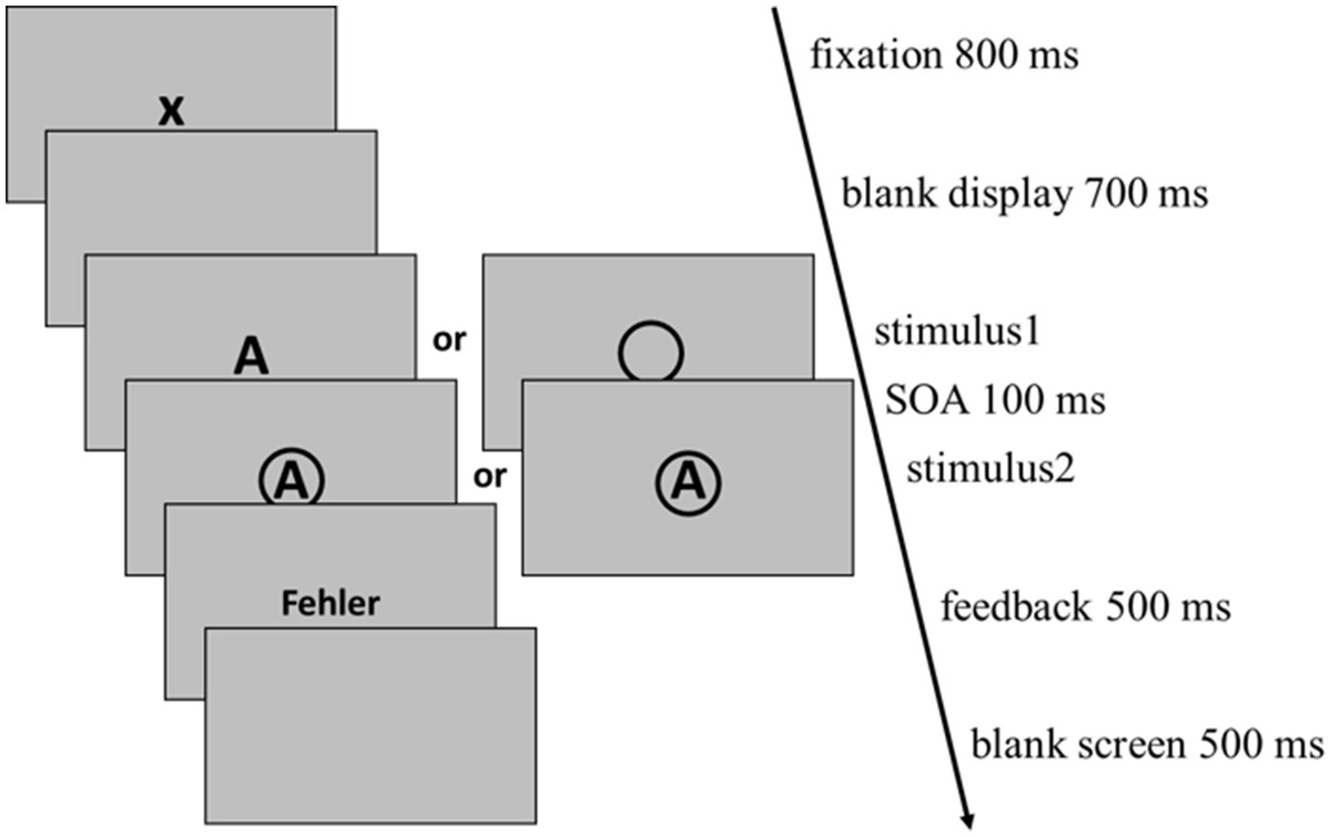 Frontiers | Comparing laboratory and online settings: equivalence in training and transfer ...