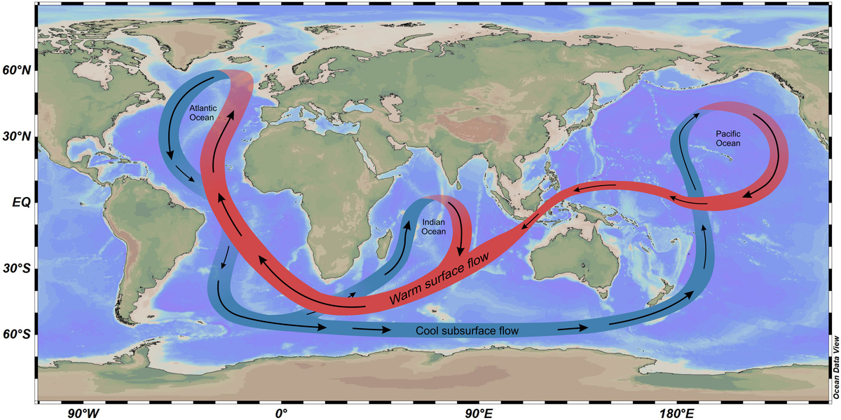 Frontiers | Editorial: Paleoecological records from Atlantic deep-sea ...