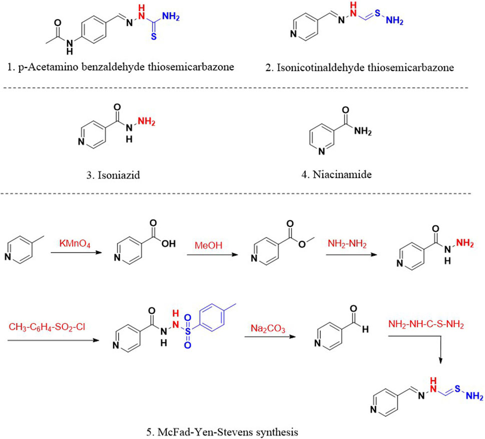 Frontiers | Isoniazid-historical development, metabolism associated ...