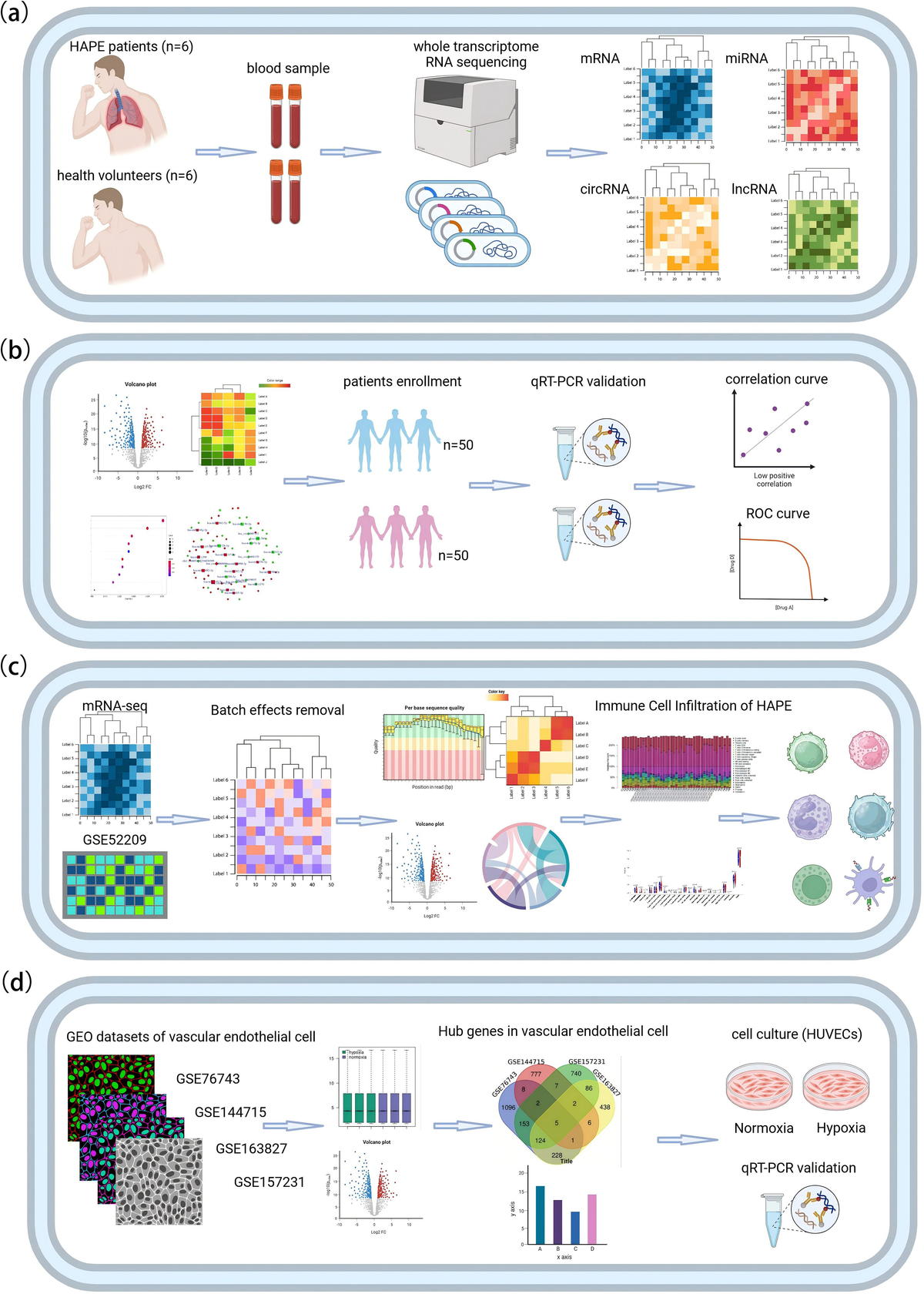 Frontiers | Whole transcriptome landscape in HAPE under the stress of ...