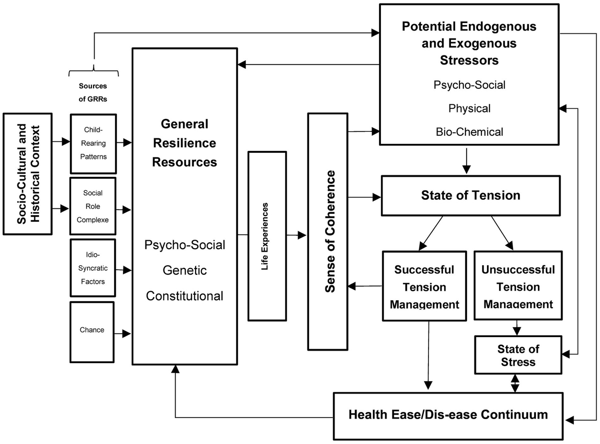 Frontiers | Salutogenic Environmental Health Model—proposing an ...