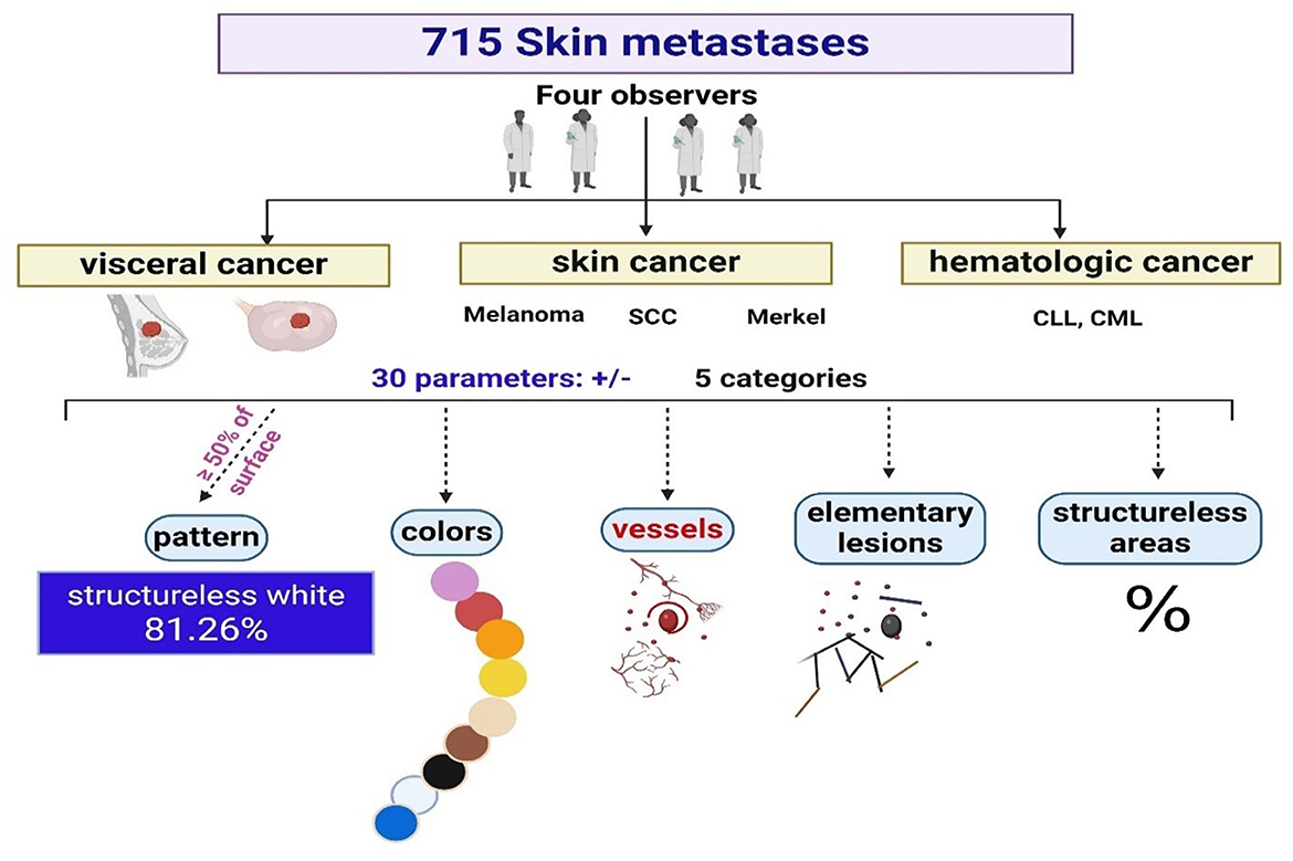 Frontiers | Dermoscopy of skin metastases in advanced cancer—systemic ...