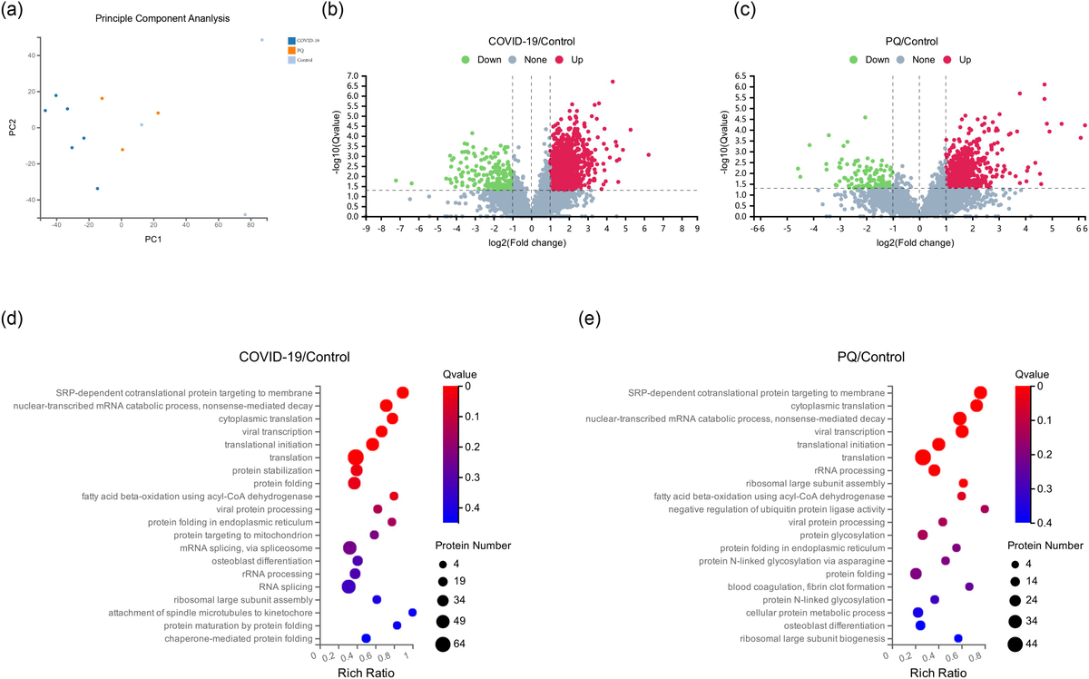 Frontiers | Proteomics of severe SARS-COV-2 infection and paraquat ...