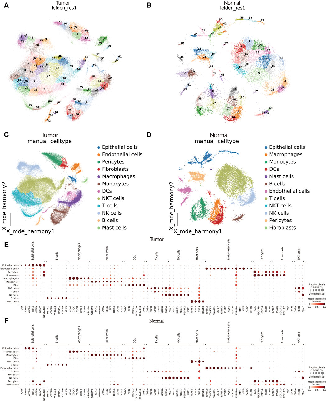 Frontiers | Revealing the characteristics of SETD2-mutated clear cell renal cell carcinoma ...