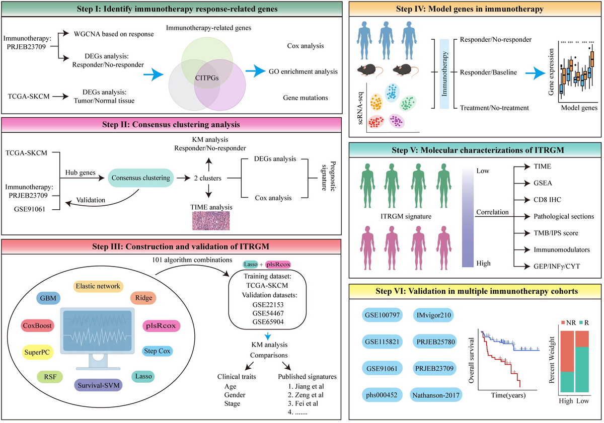Frontiers | Machine learning-based identification of an immunotherapy-related signature to ...