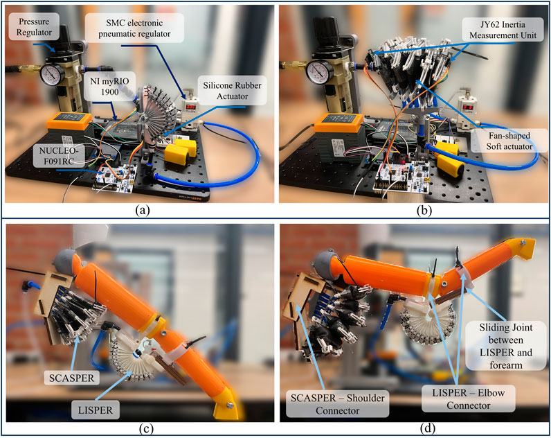 Frontiers | Novel bio-inspired soft actuators for upper-limb ...