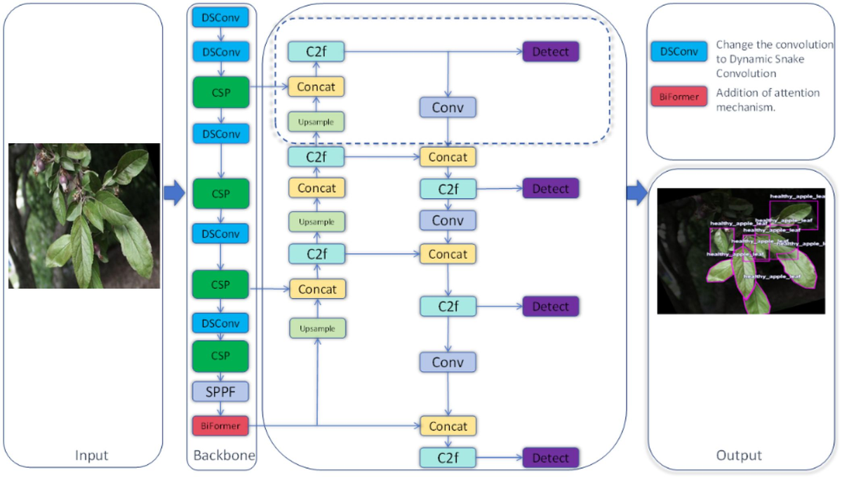 Frontiers | Precision agriculture with YOLO-Leaf: advanced methods for ...