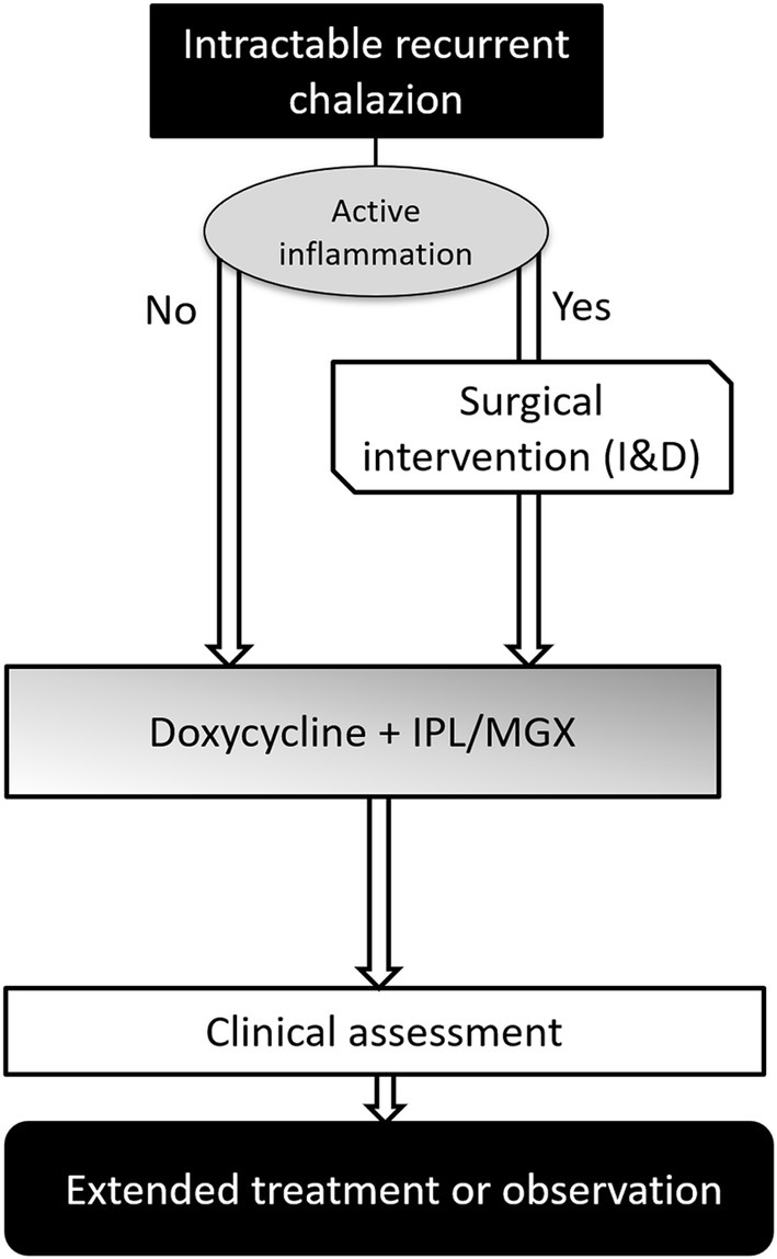 Frontiers | Efficacy of combined doxycycline and intense pulsed light ...