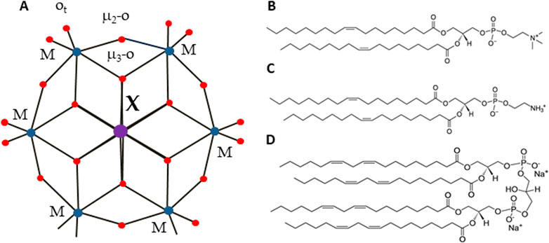 Frontiers | Molecular interactions at the interface: polyoxometalates ...