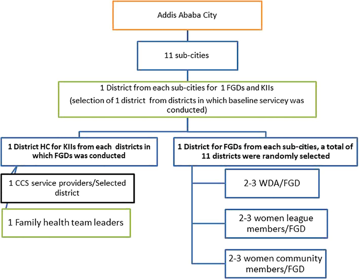 Frontiers | Reasons for not undergoing cervical cancer screening ...