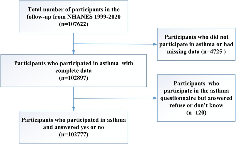 Frontiers | Association between vaccination, viral antibodies, and ...