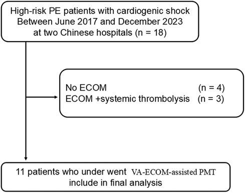 Frontiers | VA-ECOM assisted percutaneous mechanical thrombectomy ...