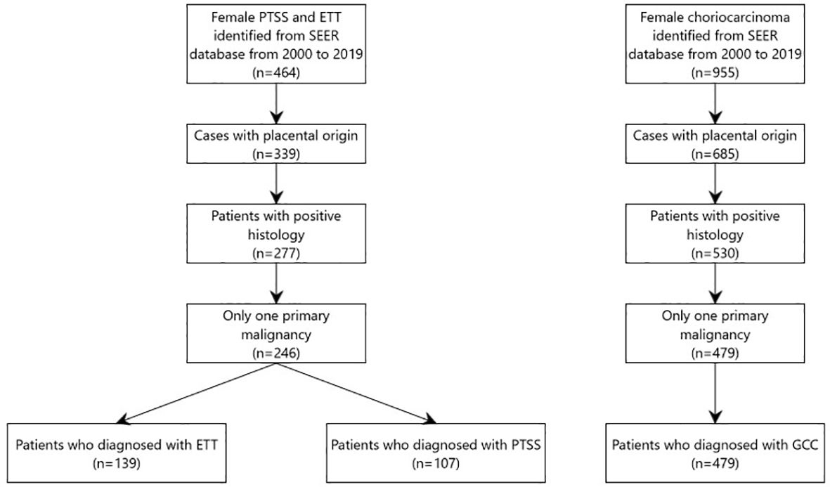 Frontiers | Machine learning-driven survival prediction in gestational ...