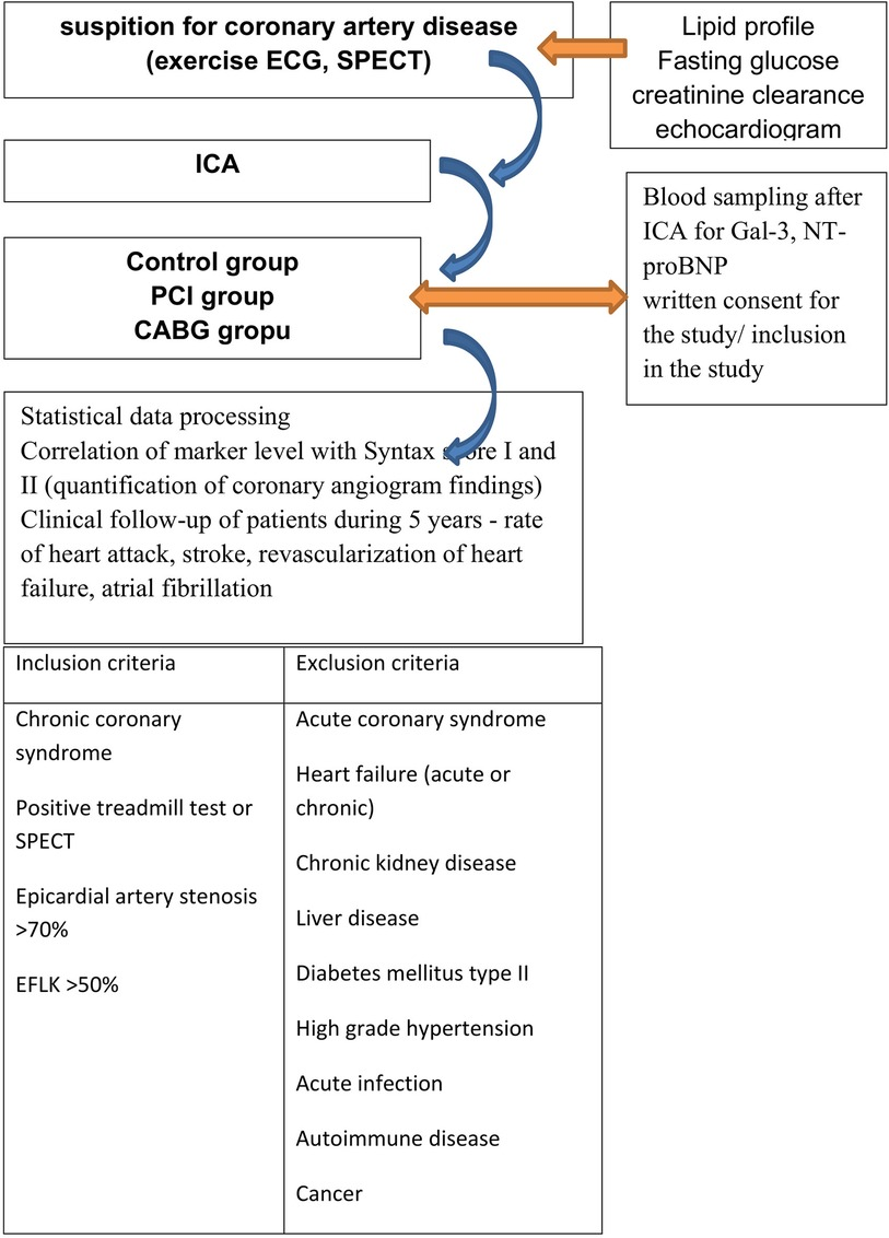 Frontiers | Heart failure biomarkers in revascularized patients with ...
