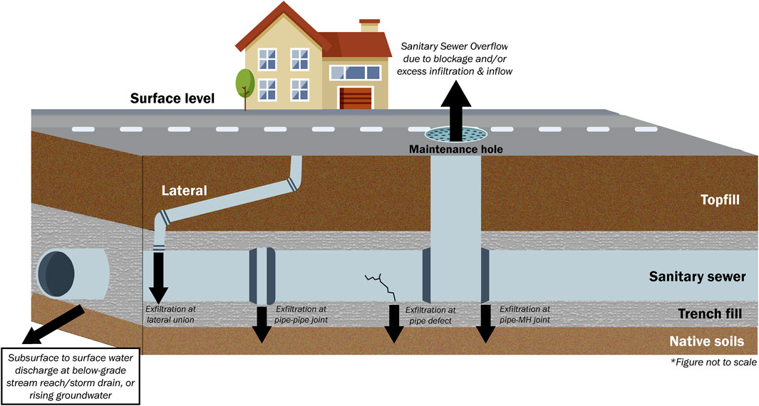 Frontiers | Extrapolating empirical measurements of wastewater ...