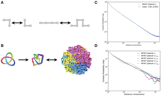 Frontiers | Current theoretical models fail to predict the topological ...