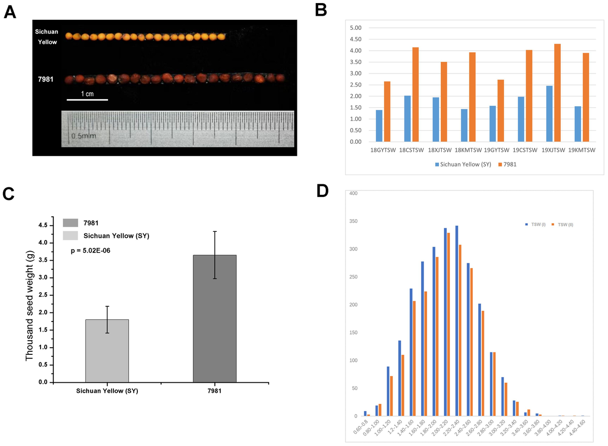Frontiers | Integrated analysis of BSA-seq and RNA-seq identified the candidate genes for seed ...