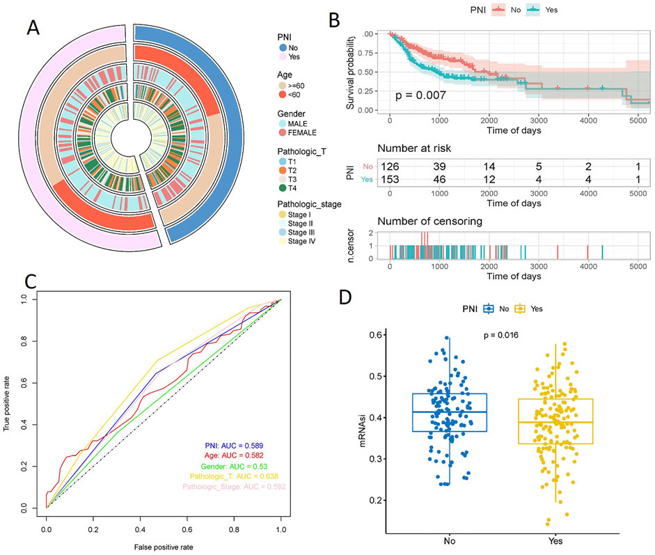 Frontiers | Integrating clinical and genomic landscape analysis of perineural invasion identify ...