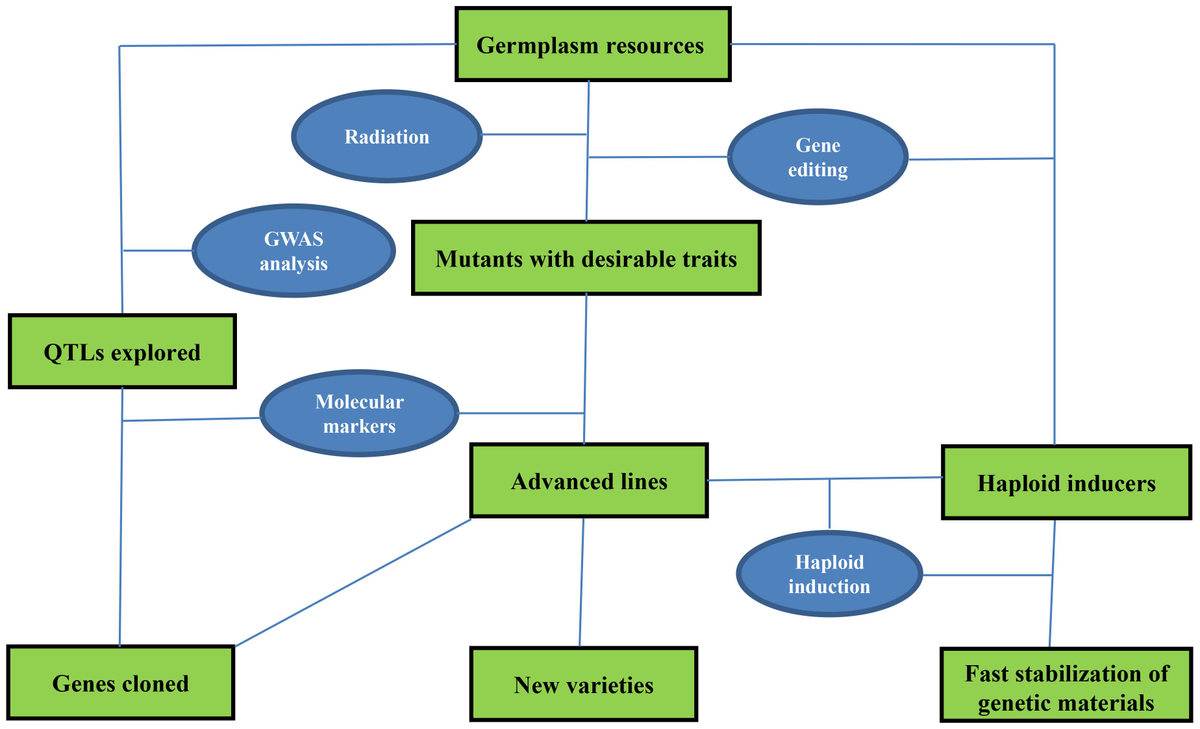 Frontiers | Editorial: Applications of fast breeding technologies in ...