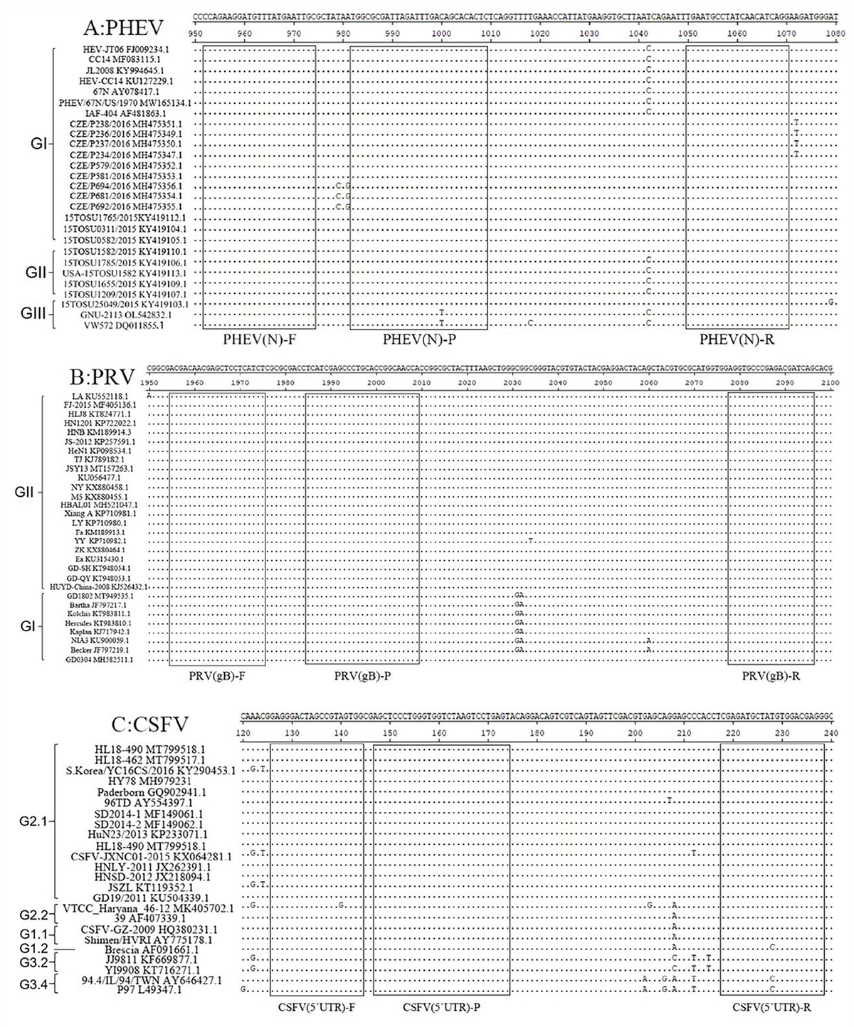 Frontiers | Development of a triplex crystal digital RT-PCR for the detection of PHEV, PRV, and CSFV